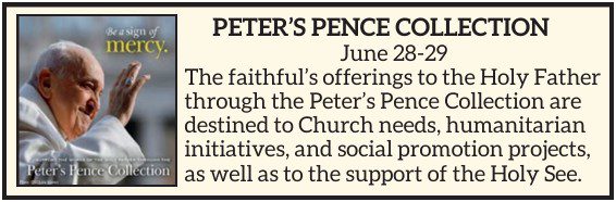 Special Collection – Holy Fr.Peter’s Pence 2025 6-28+29 – Sacred Heart ...